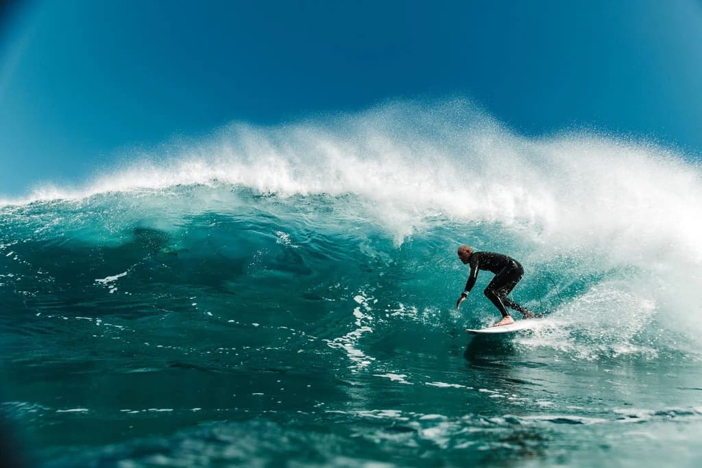 Rusty | HawaiiSurf